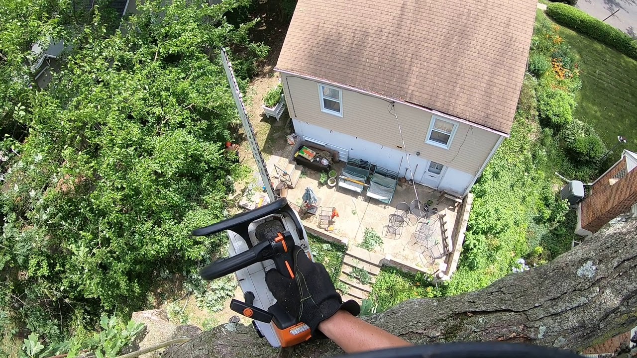 Ropping huge limbs over power lines and house Gopro - YouTube