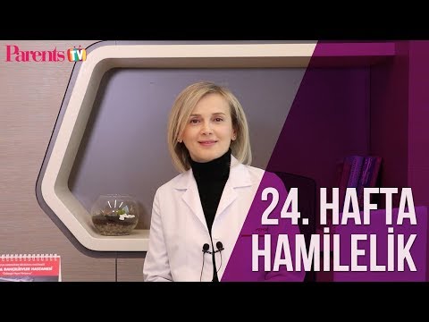 Parents TV - 24. Hafta Hamilelik