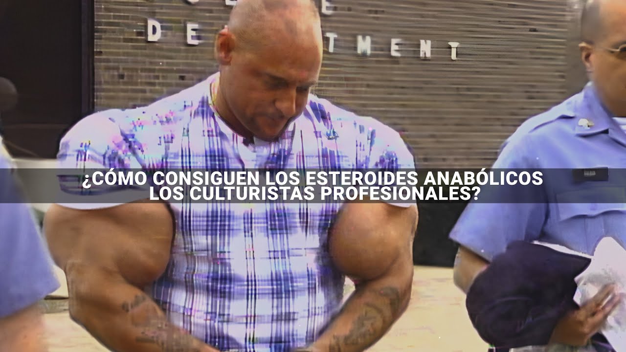 ¿Cómo Consiguen Los Estereotipos Anabólicos Los Culturistas ...