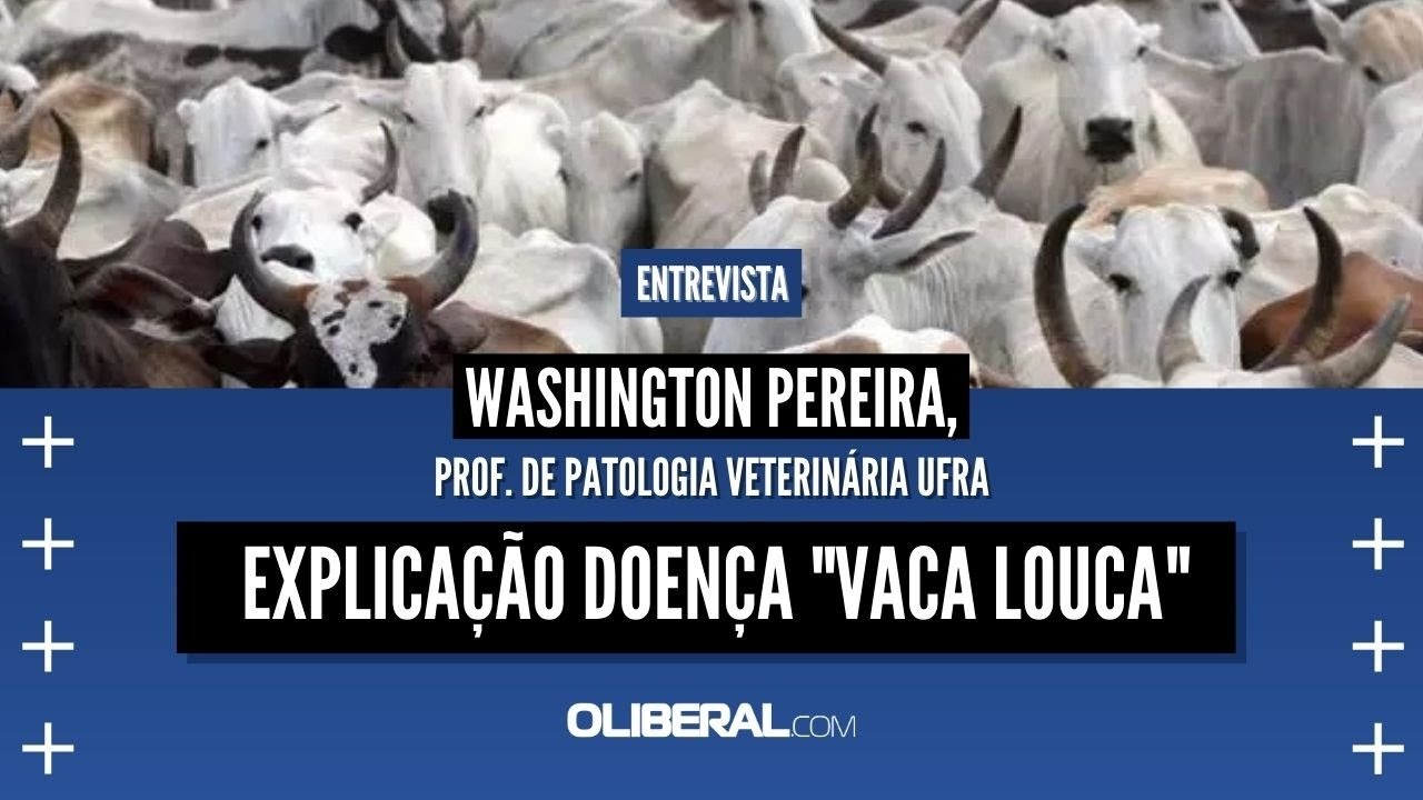 Vaca Louca: Washington Pereira, professor de patologia Veterinária UFRA ...