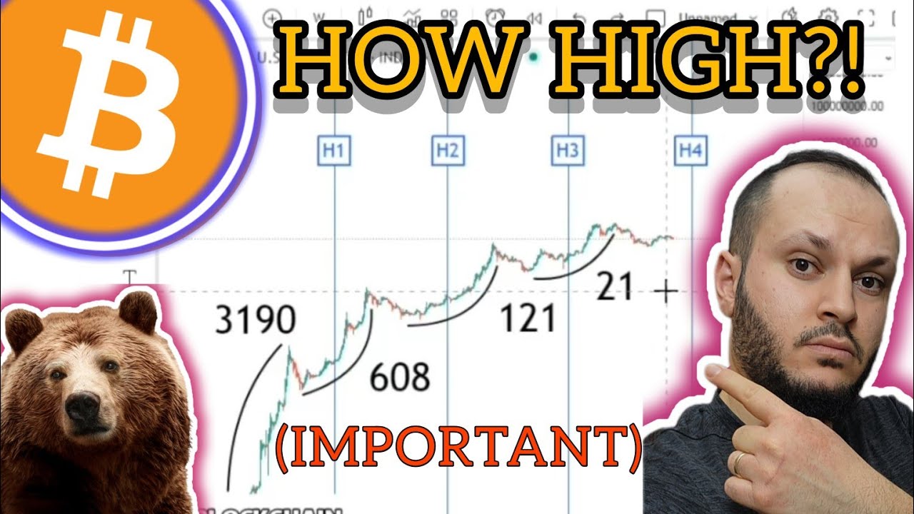 LAST BULL RUN FOR BITCOIN?! #bitcoinhalving #btc #bitcoin #bitcoinfall ...