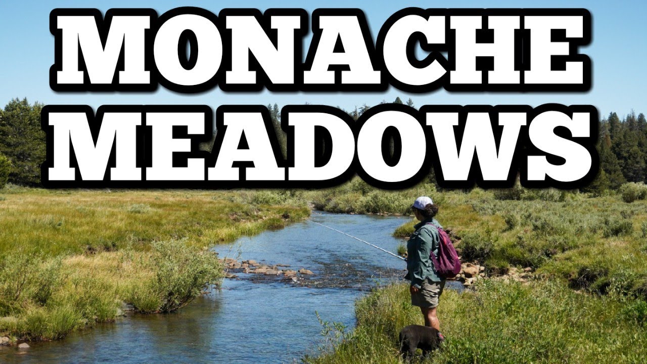 Monache Meadows | Golden Trout Fishing | South Fork Kern River - YouTube