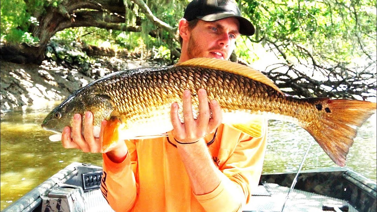 Catching BIG fish in SMALL creeks! | EPIC solo trip! | Beaufort Fishing ...