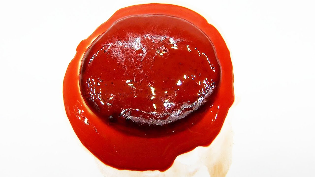 Chicken blood Time-lapse - Rotting Food Time Lapse - YouTube