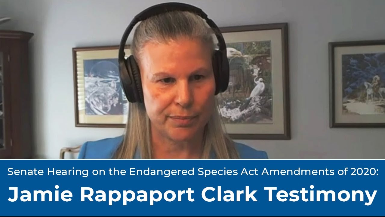 Jamie Rappaport Clark Testimony - Senate Hearing on the Endangered ...