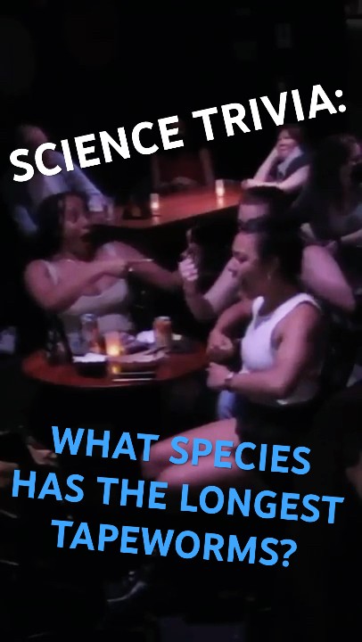 The longest tapeworm in the world! #science #animals #shorts - YouTube
