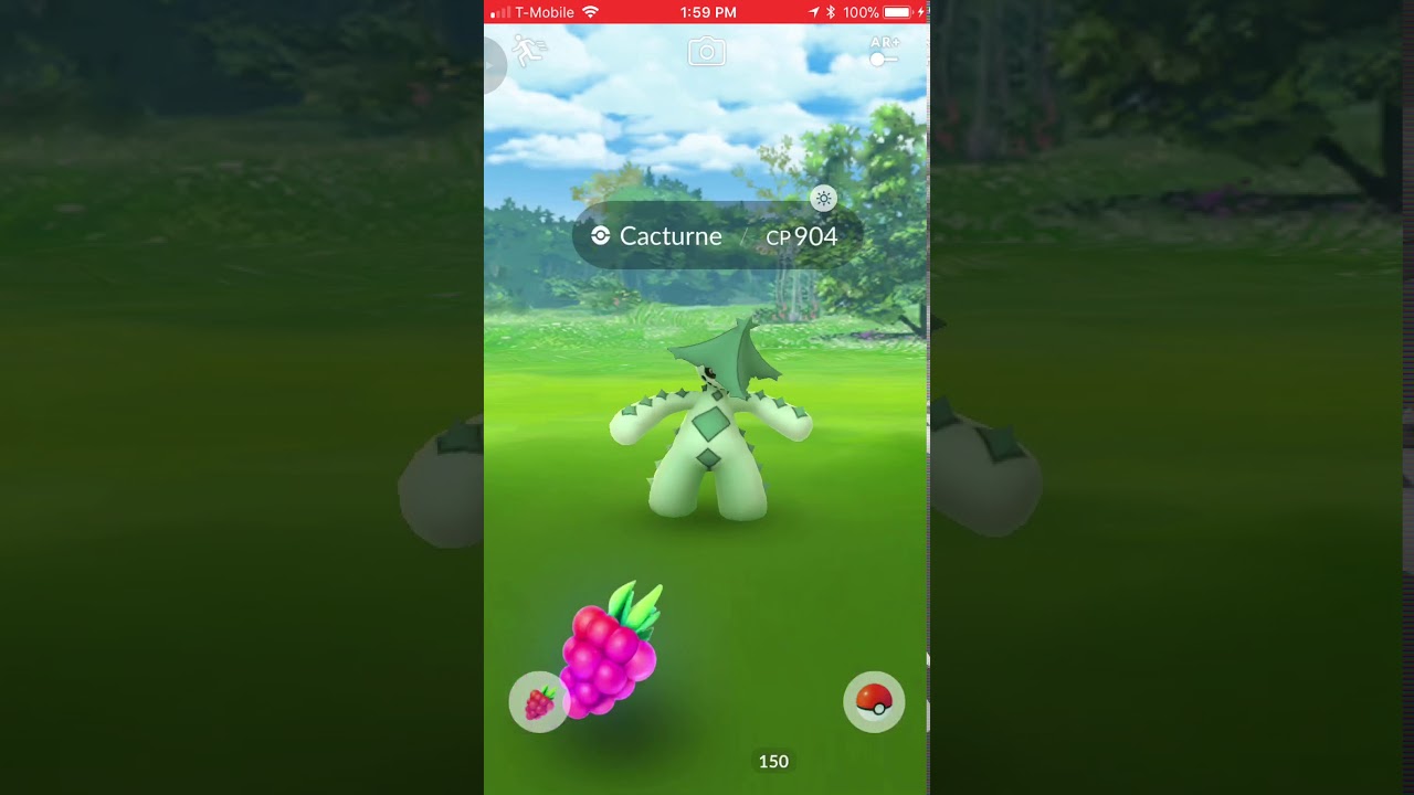 Pokemon GO- Wild Cacturne Appeared! - YouTube