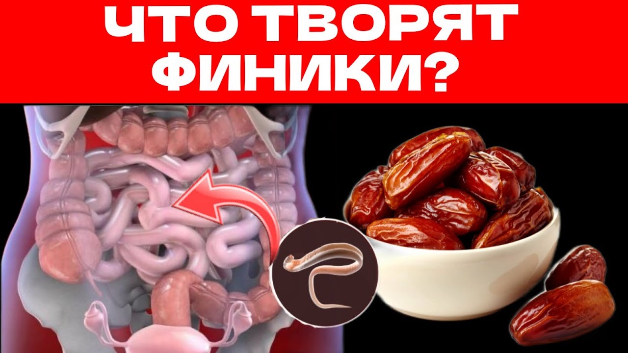 Даже один ФИНИК может вызвать НЕОБРАТИМЫЙ процесс в Вашем организме