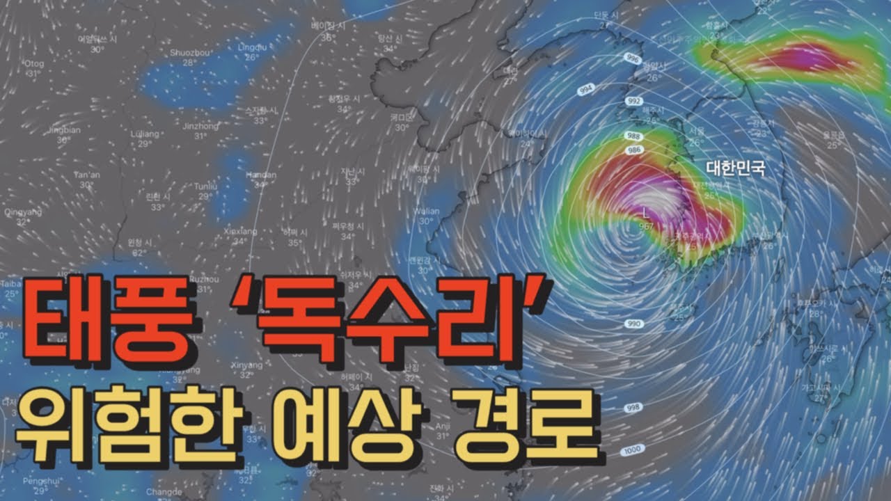5호 태풍 독수리 위험한 예상경로 4호 태풍 탈림 소멸 1분날씨 Youtube
