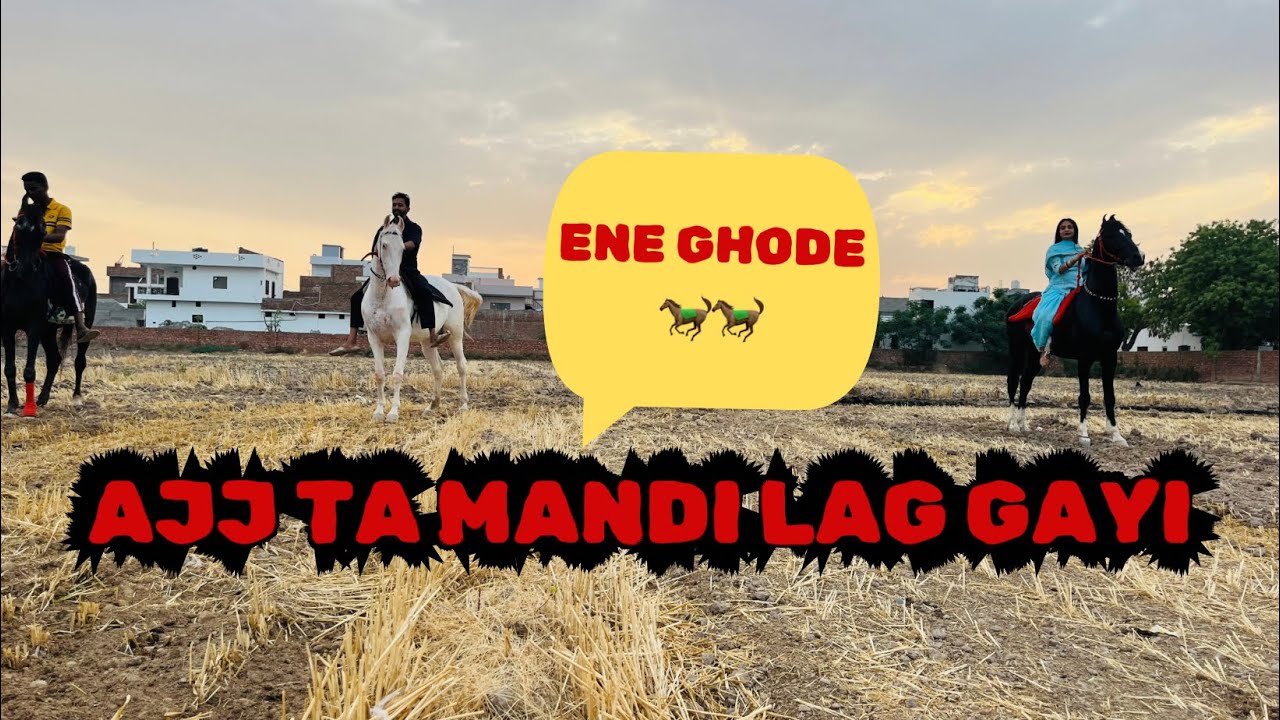 Ajj bhut ghode bhjjnge || ajj hou mukabla || ghode ghodiya - YouTube