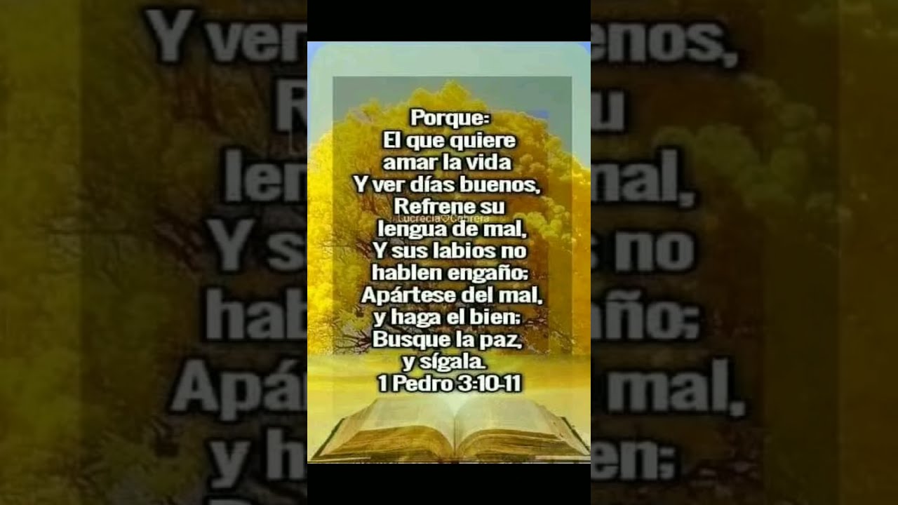 1 Pedro 3 10 11 YouTube 1 Pedro 3 10 11 YouTube