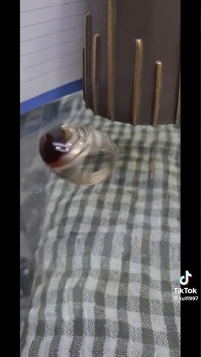 October 13, 2022 - YouTube