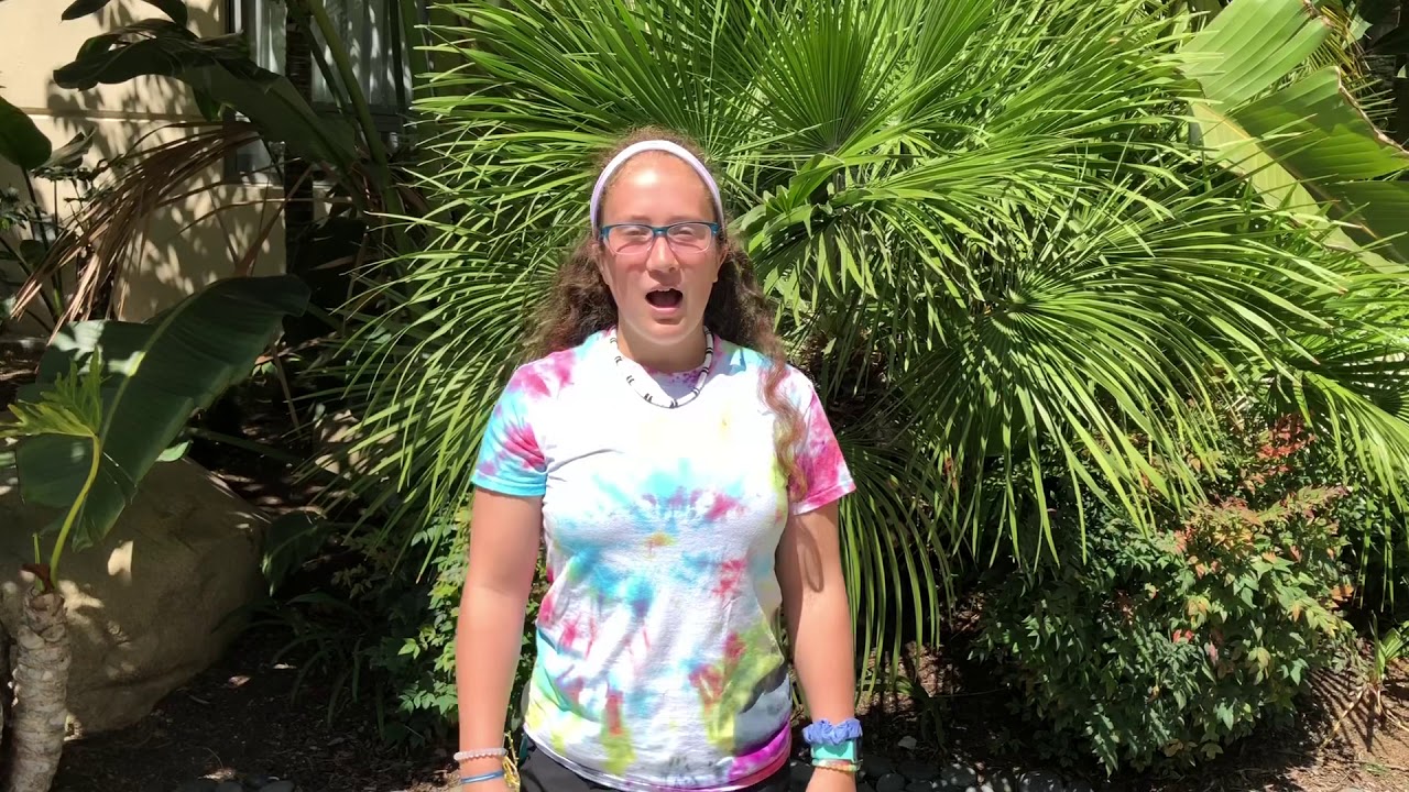 Smile Train Student Ambassador 2019-2020 - YouTube