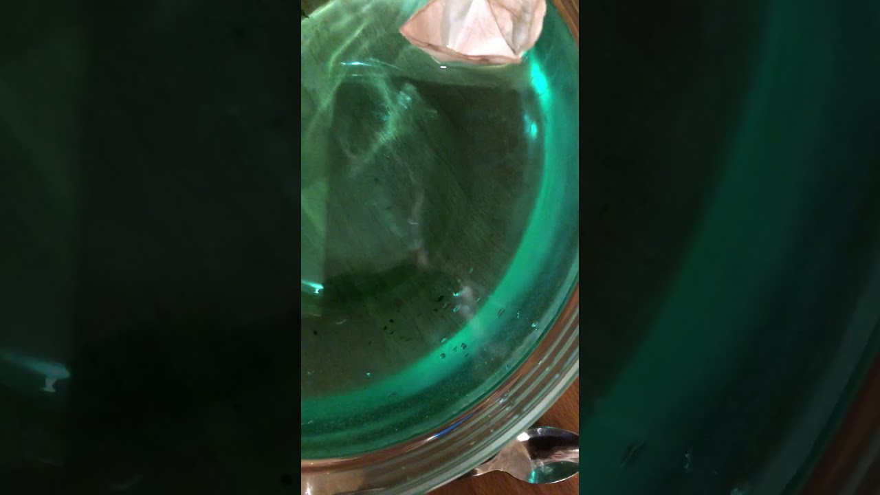 Floating bot in water 💧 - YouTube