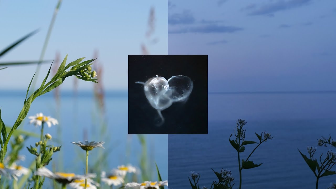 Alexander Panos - Nascent (Full Album) - YouTube