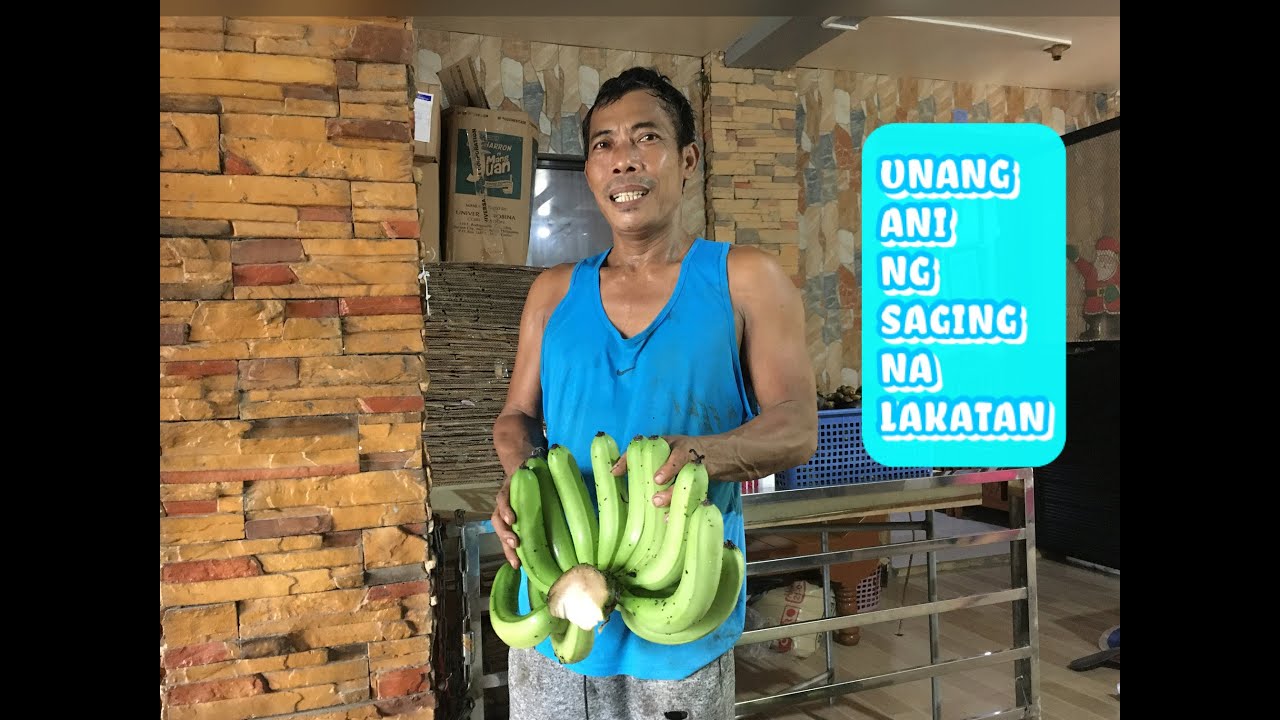 UNANG ANI NG SAGING NA LAKATAN ( FIRST HARVEST) | TRES PLANTERS - YouTube