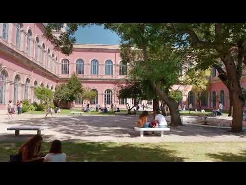 Zeus heykeli - Mutluluk zamanı