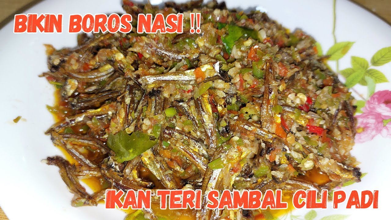 PASTI KETAGIHAN ‼️ RESEP IKAN TERI SAMBAL CILI PADI PEDES NAMPOL ...