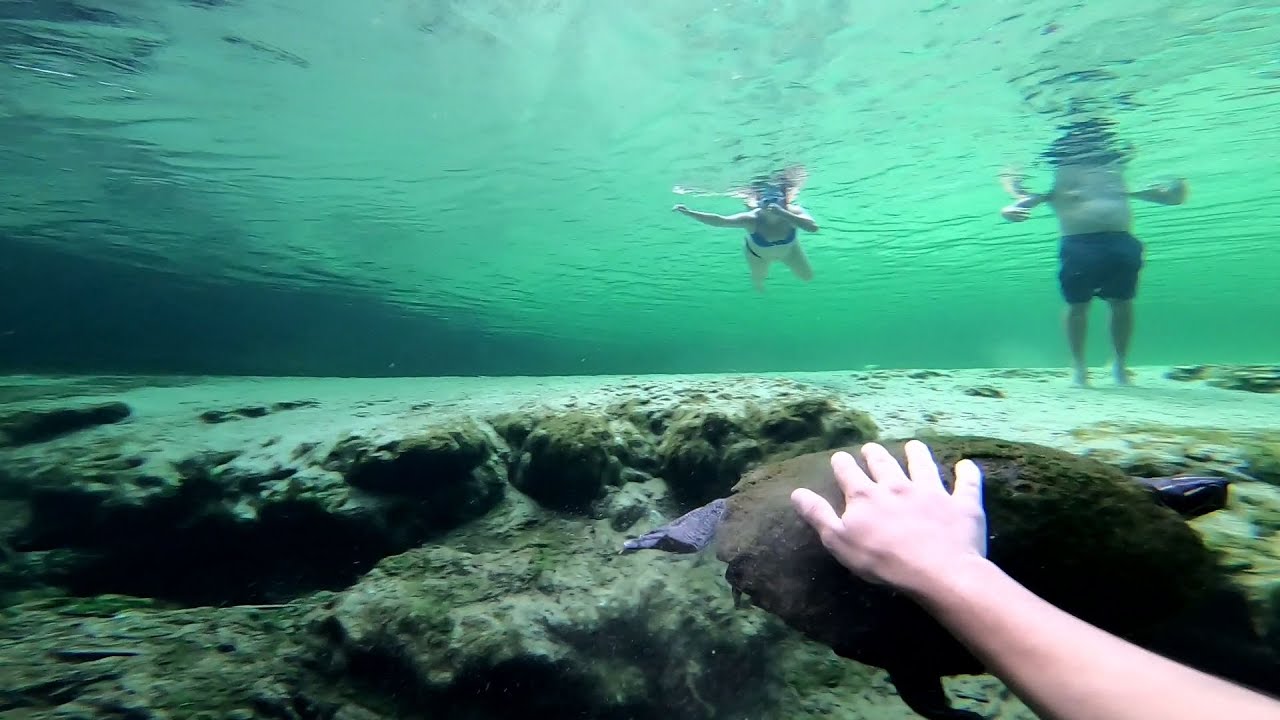 Poe Springs Park (High Springs Fl.) - YouTube