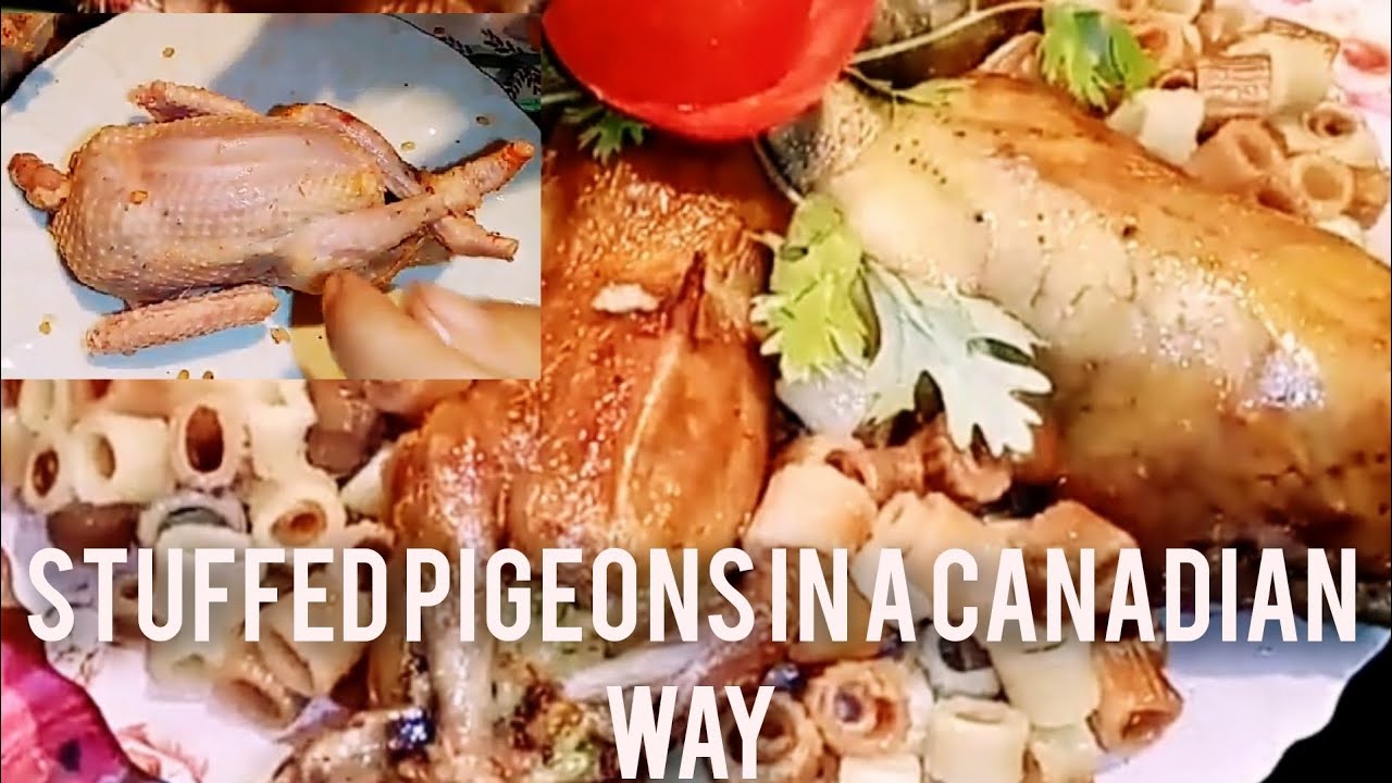 How to make Stuffed pigeons in a wonderful Canadian🇨🇦 way, because I ...