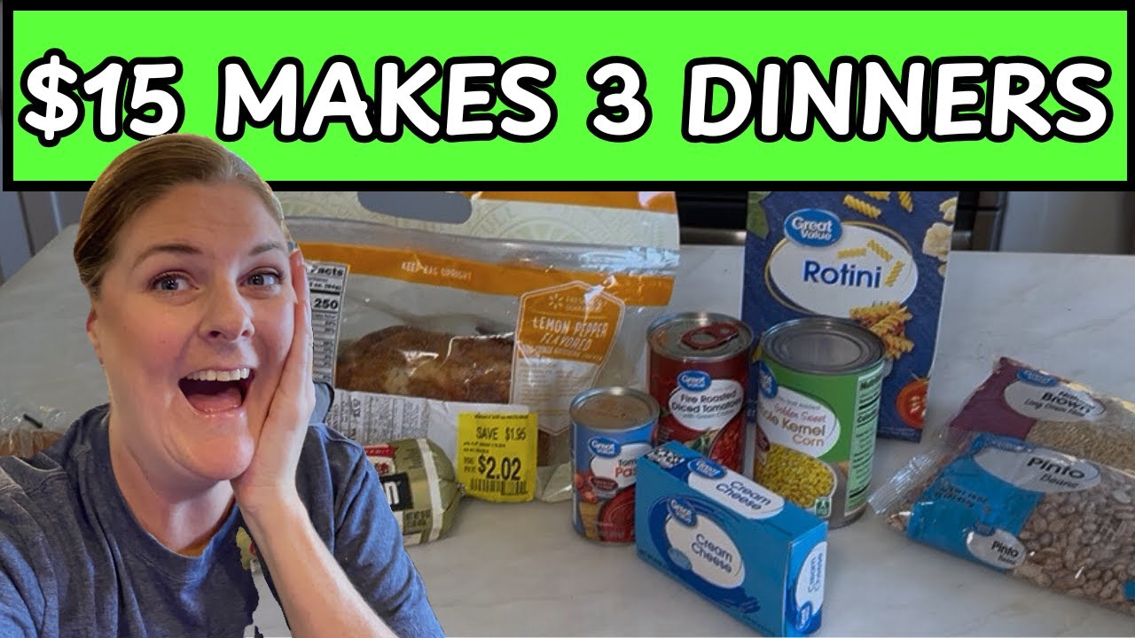 How I Made 3 Family Dinners for Under $15! 3 Budget Meals! - YouTube