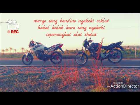 Story wa tiger herex