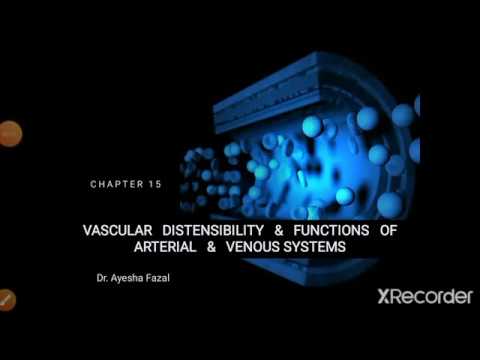 VASCULAR DISTENSIBILITY & FUNCTIONS OF ARTERIAL & VENOUS SYSTEMS - YouTube