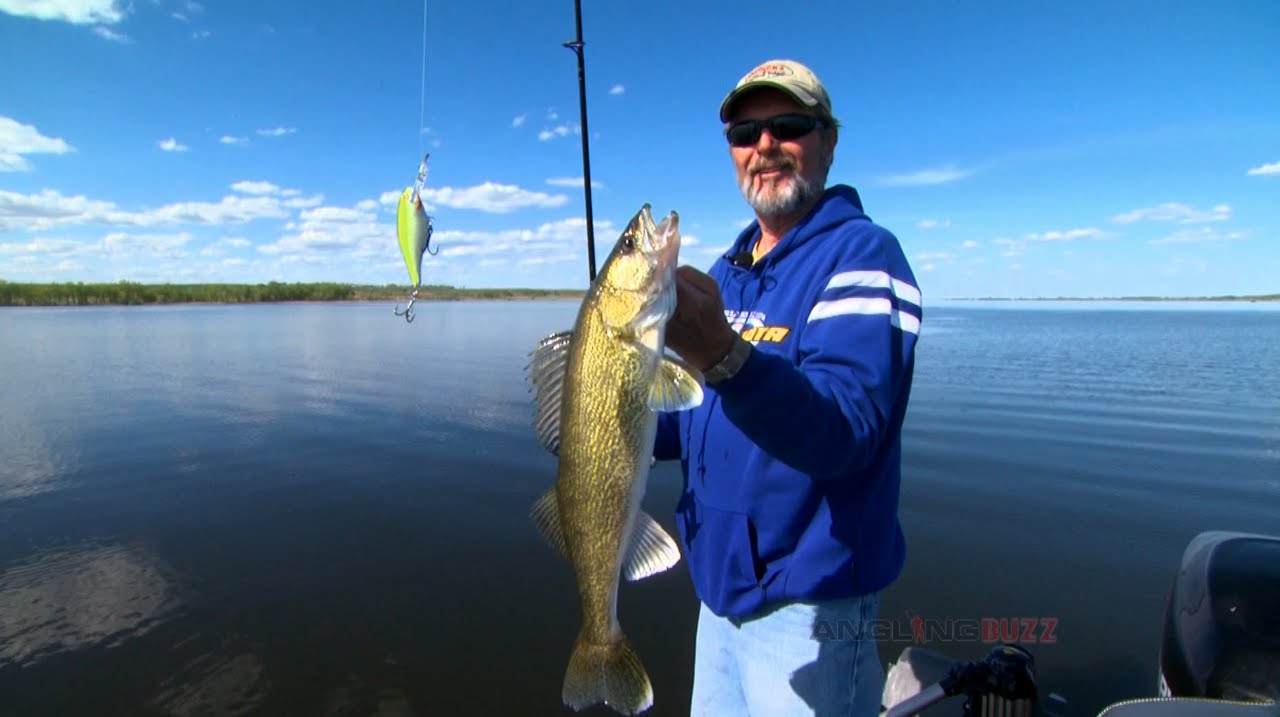 Walleye Spring Crankin' Shallow Rocks - YouTube