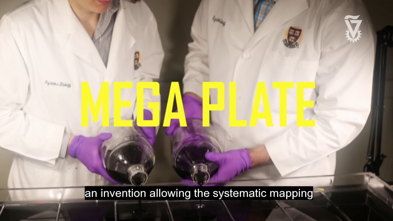 Technion vs Superbug - Research to Reverse the Development of ...