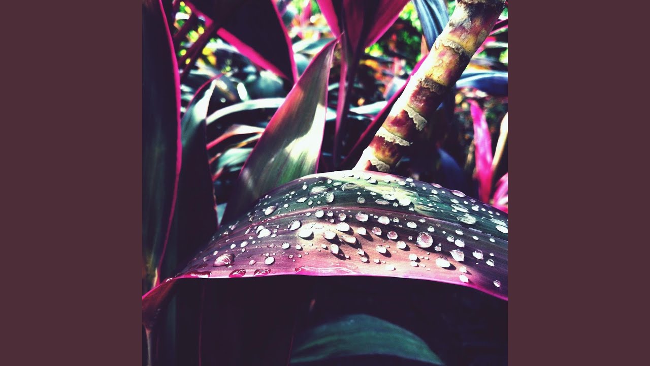 Urban Serenade - YouTube