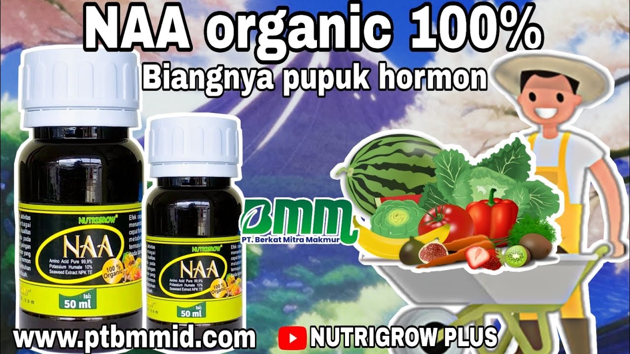 NAA Master Pupuk Hormon 100%Organik. - YouTube