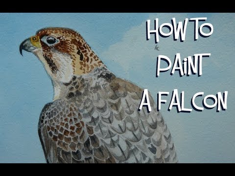 How to paint a Falcon in water colour - YouTube