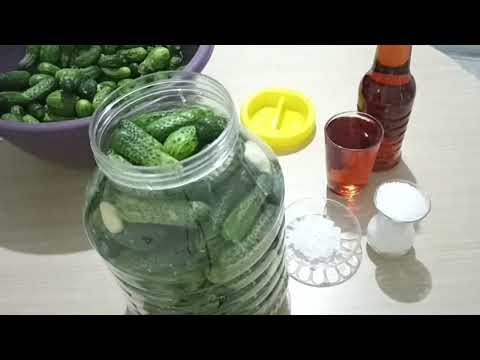 TAM ÖLÇÜLÜ 5 Kiloluk Bidona Kütür Kütür KORNİŞON TURŞU NASIL YAPILIR 🥒🥒