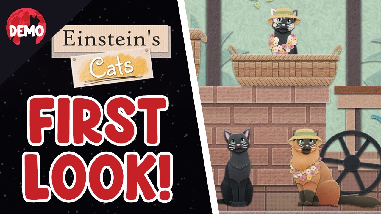 If I FIts, I Sits - PUZZLE! | EINSTEIN'S CATS | Demo - YouTube