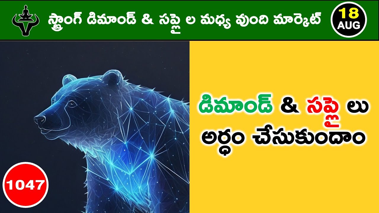 Mister Trader Daily Market Analysis with Logic | Mr. Trader | 1047 # ...