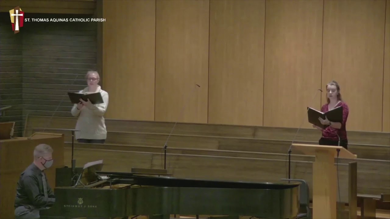 O Holy Night - A Blessed & Merry Christmas from the Musicians of St ...