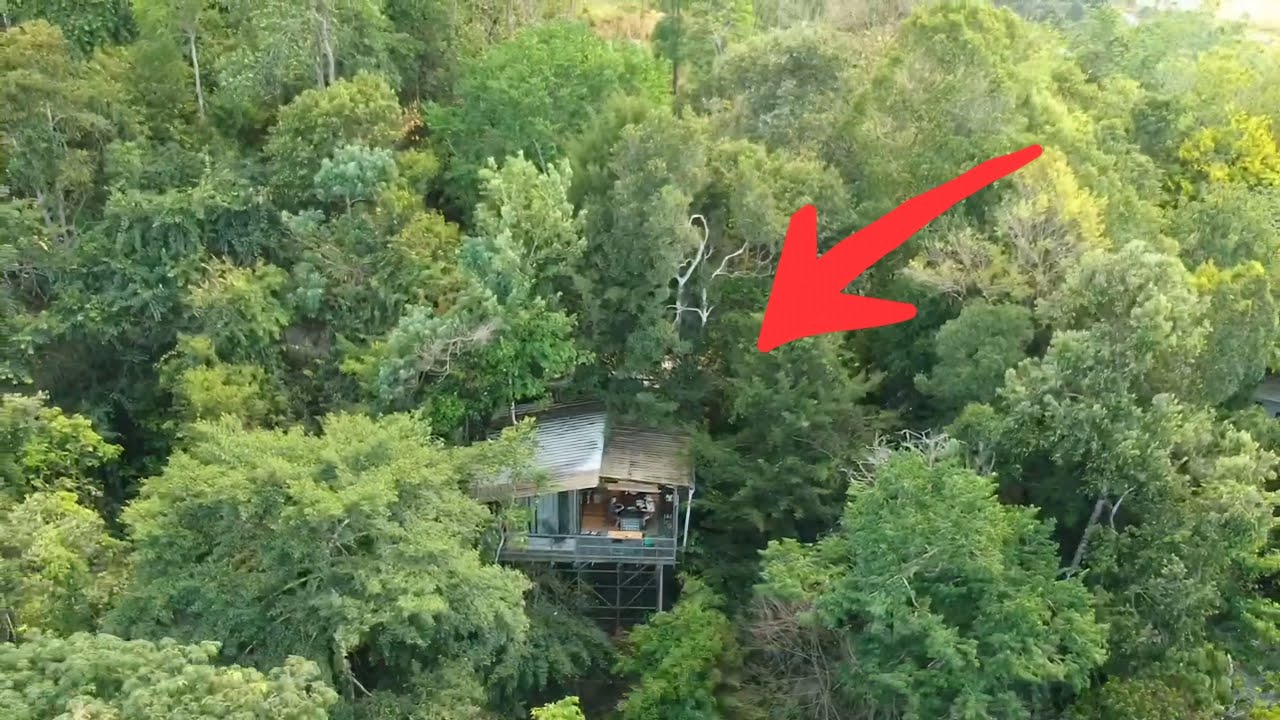 Experiencing living in a treehouse | Gibbon Retreat Bentong - YouTube
