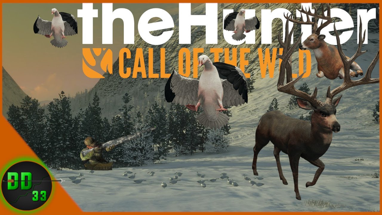 Snow Goose Hunting In The Morning And Monster Mule Deer At Night! Call ...