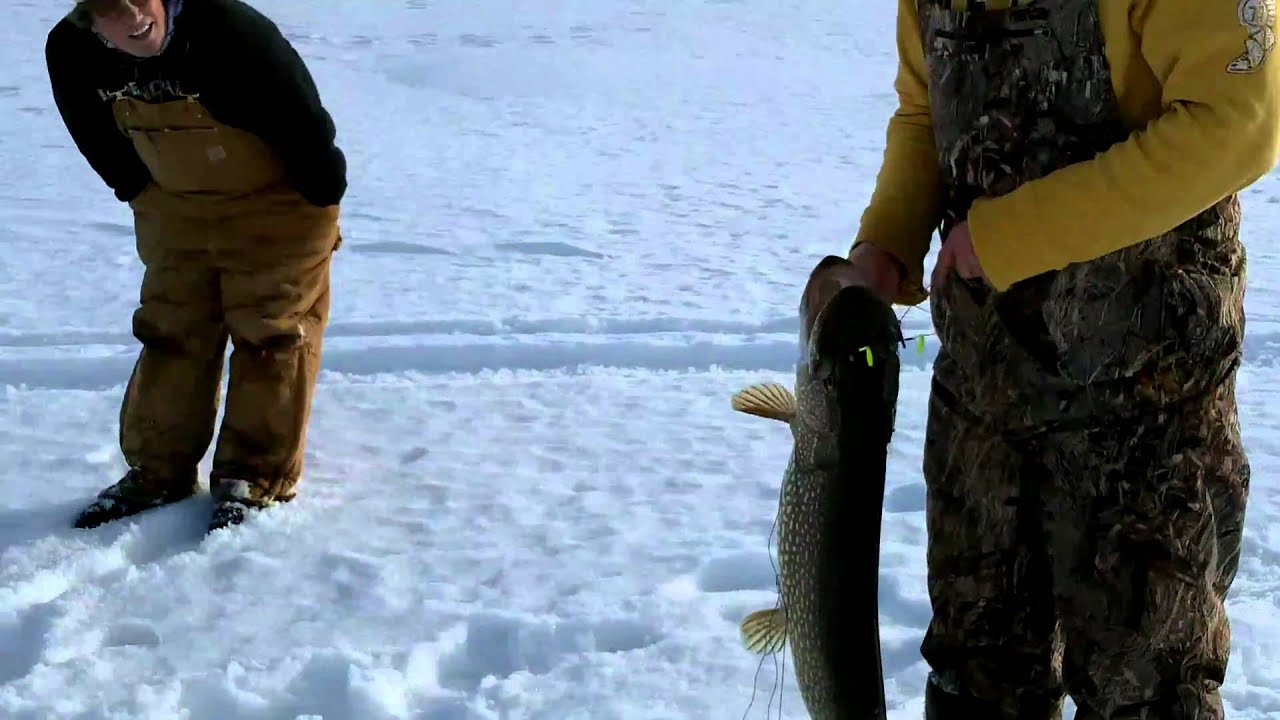 Hawg Belly Hunting - YouTube