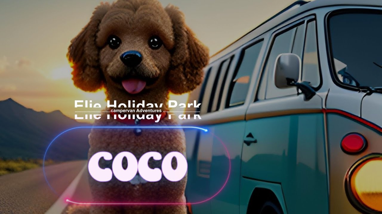 Elie holiday park Shell bay (campervan adventures) - YouTube