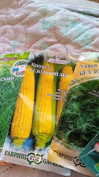 Завтра мы с Гарри сажаем семена помидоров🐱😄на рассаду 🍅🍅🍅А мы такиее