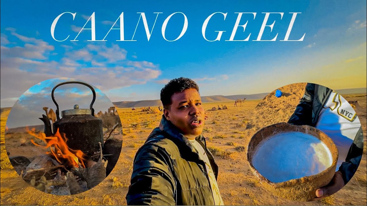 DOOXADII KURTUMOOD / CAANO GEEL - YouTube