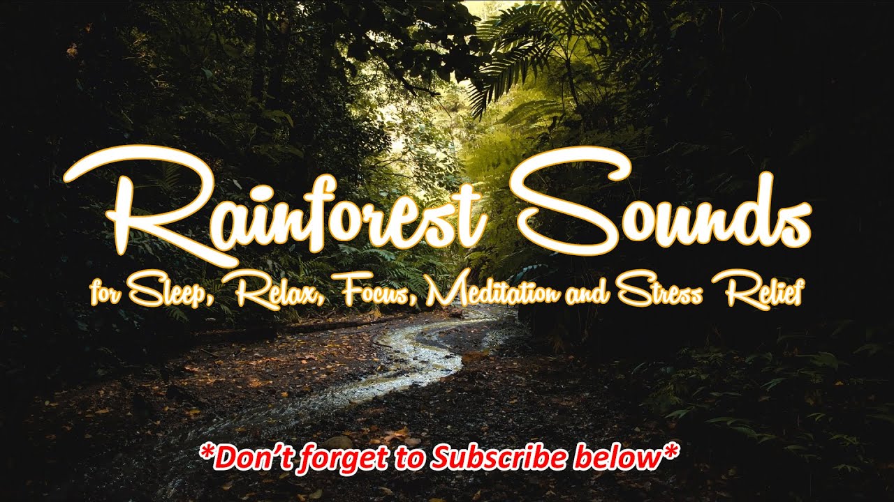 Rainforest Sounds 6 hrs, 5.1 CH Exotic Birds, Tropical Forest, Jungle ...