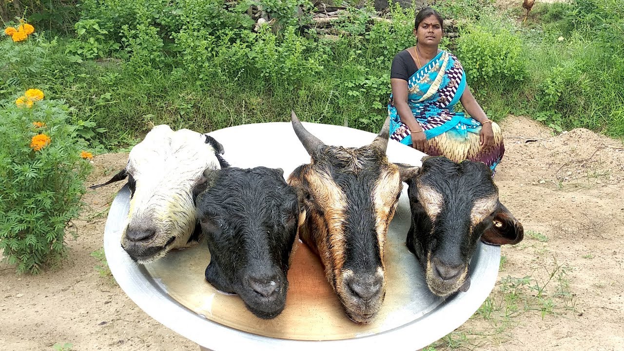 சுவையான ஆட்டுத் தலைக்கறி வறுவல் / Goat Head Gravy / Thala Kari varuval ...