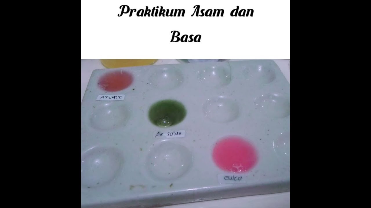 Praktikum kimia (Larutan asam dan basa) dengan Indikator alami Bunga ...