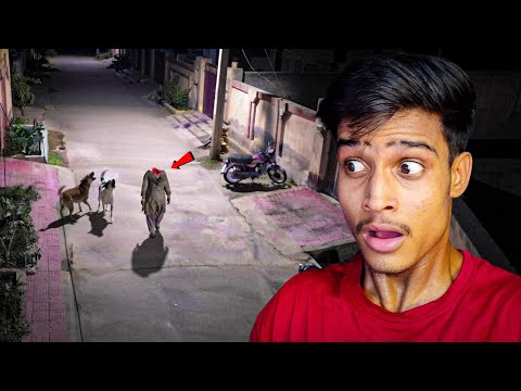 TRY NOT TO GET SCARED CHALLENGE PART - 11 ( IMPOSSIBLE ) 😱