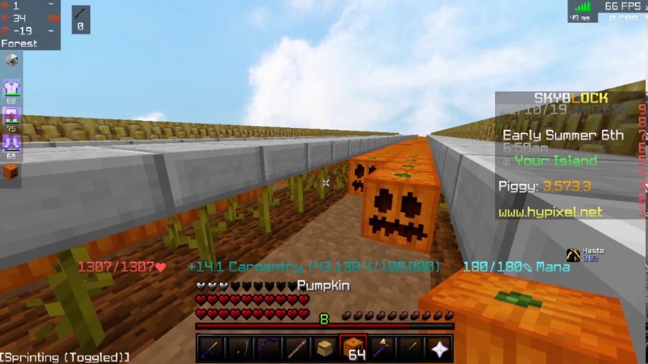 Hypixel Skyblock | I GOT FARMING LEVEL 25! - YouTube