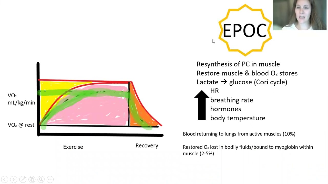 Excess Post Oxygen Consumption (EPOC) Simplifed - YouTube