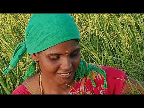 vimala suresh agri🌾 இயற்கை விவசாயம் பண்ற இந்த விவசாயிக்கு எல்லாம் ...
