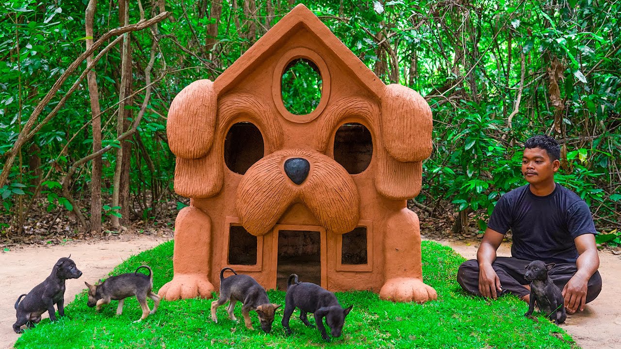 Rescue Abandoned Puppies Building an Amazing House for DOGS - YouTube